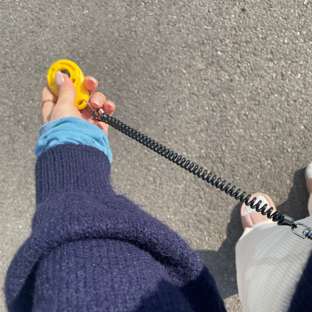 훈련용 딸깍이 손목걸이 강아지 클리커 파라브로 생활잡화 파라브로-B2B전문