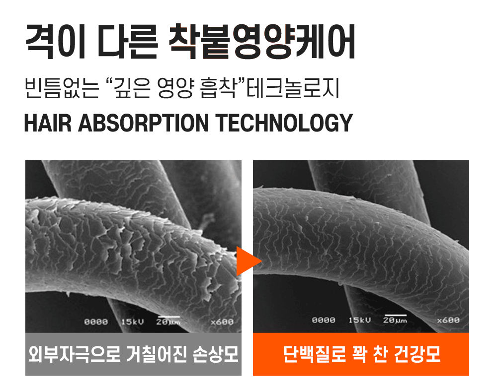LPP 단백질 헤어 에센스 오일 105ml - 감도 깊은 취향 셀렉트샵 29CM