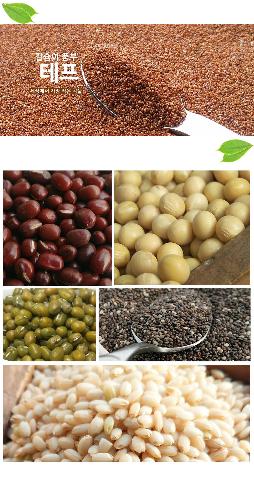 가온애 | 천연 찰기장 500g