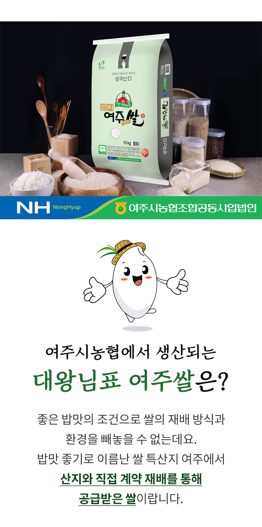 [이쌀이다] 대왕님표 여주 영호진미 10kg - 현대Hmall