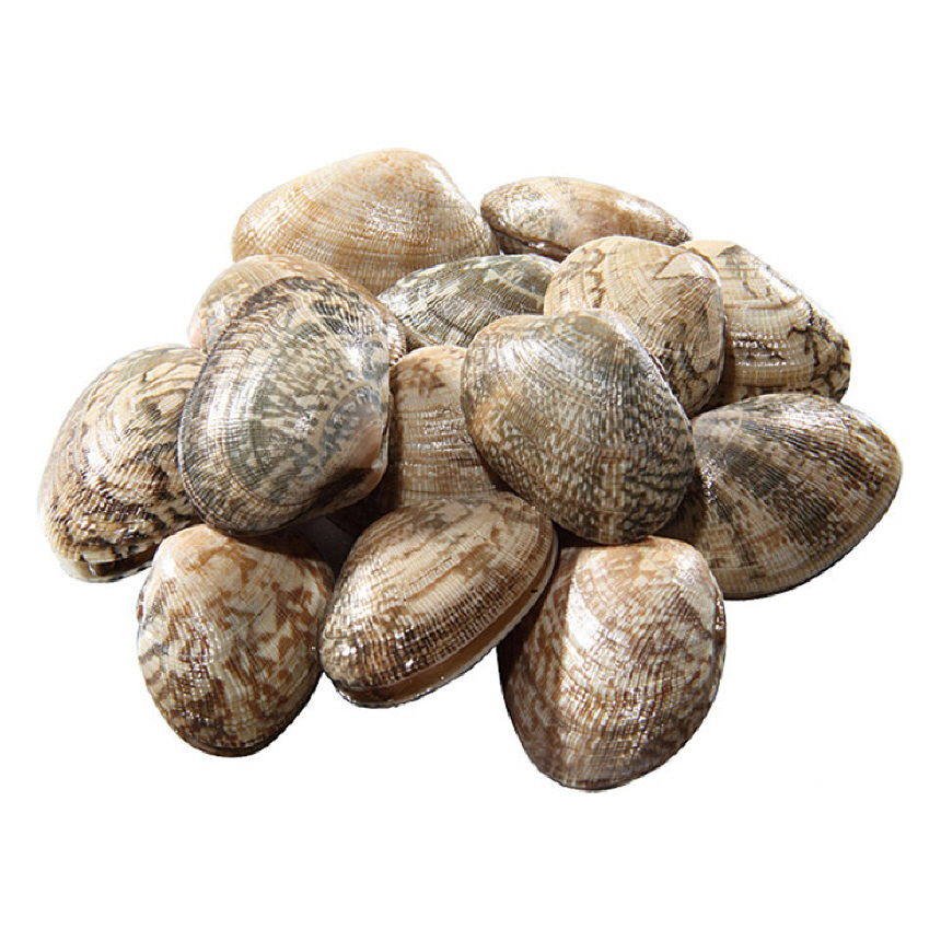 대용량 냉동 바지락 살 조개살 2kg 가정용 2kg [200g 10팩] - 최저가 사업자 식자재 | 식봄