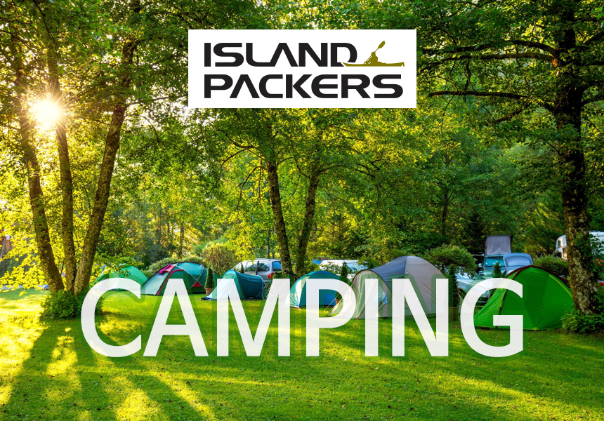 Gmarket - [Hawkins]Hawkins/Pressure/Rice Cooker/1.5L/Camping/For Cooking