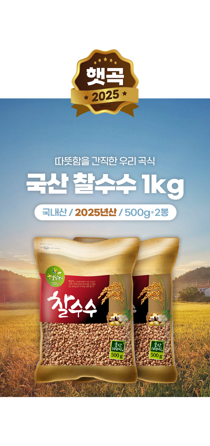 국산 찰수수 1kg (500gx2봉) - 농업회사법인(주)현대농산