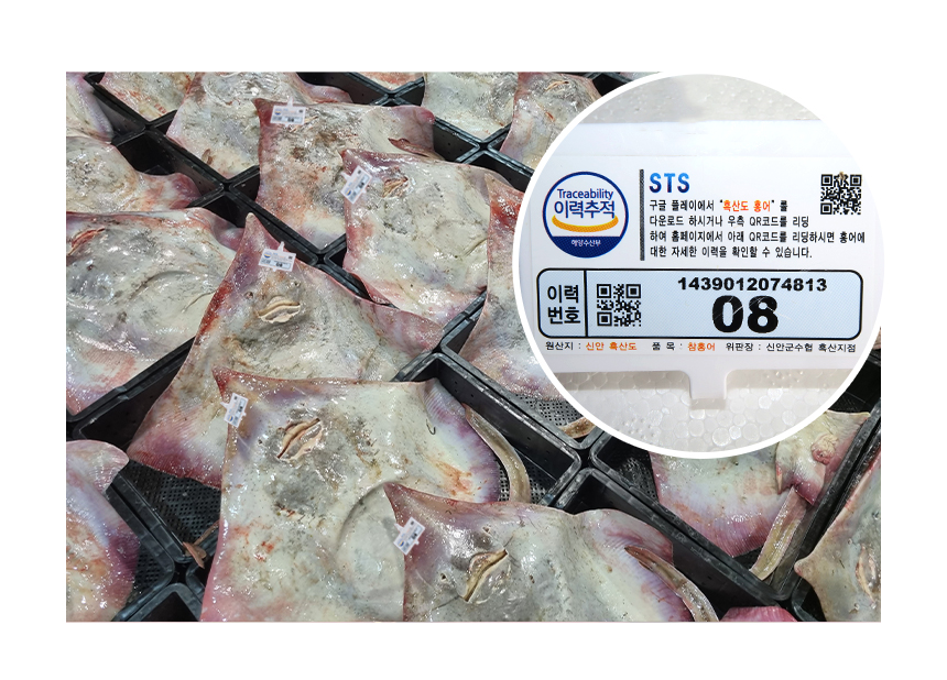 푸른바다 국내산 홍어 1kg | 식봄